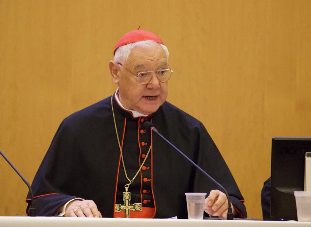 Cardinal Muller Isn’t Synodalizing Very Well. – Creative Minority Report